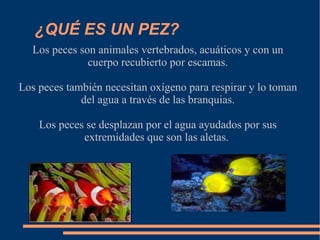 Los peces | ODP