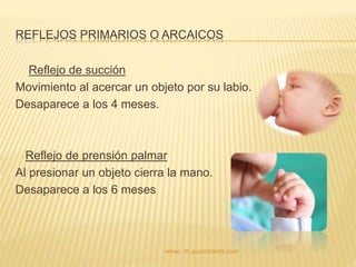 Los reflejos | PPTX