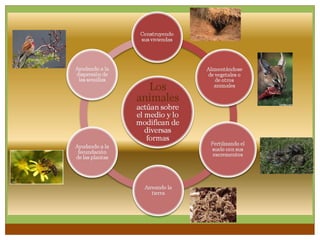 Los Seres Vivos En El Medio Ambiente | PPT