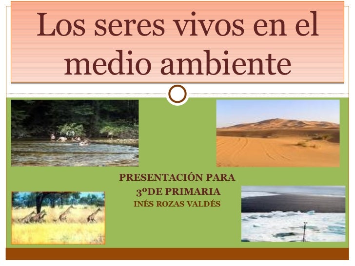 El Medio Ambiente Y La Relacin Con Los Seres Vivos By El Medio
