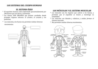 Los-Sistemas-del-Cuerpo-Humano-para-Primero-de-Primaria.pdf