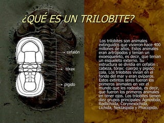 Los Trilobites | PPT