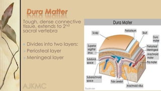 Meningitis basic to clinical | PPTX