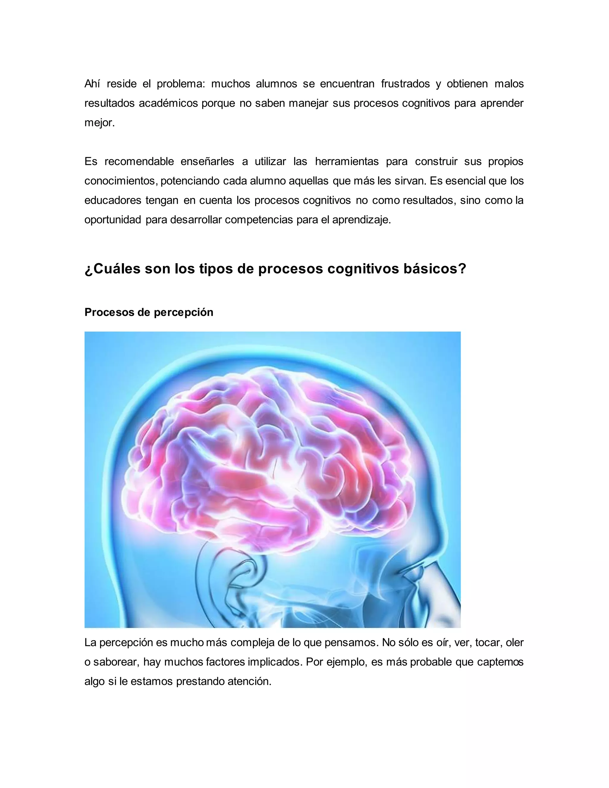 Los 12 procesos cognitivos básicos en humanos | PDF