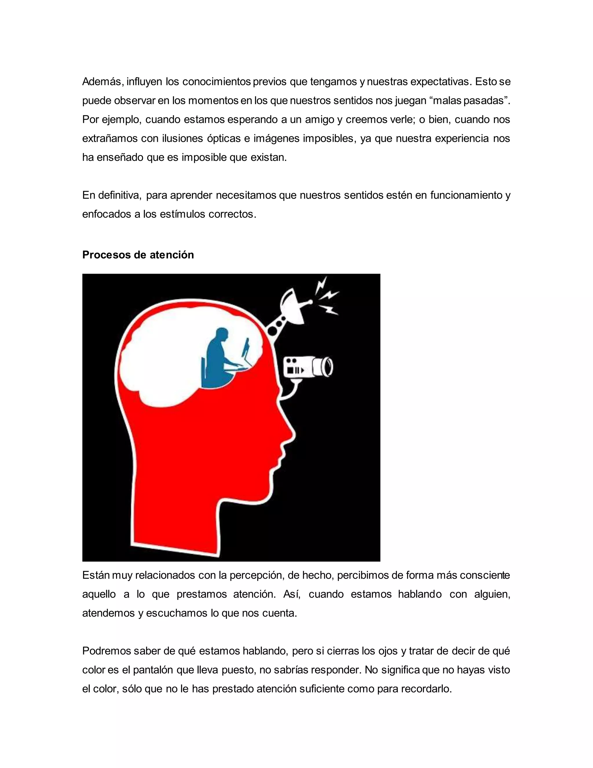 Los 12 procesos cognitivos básicos en humanos | PDF