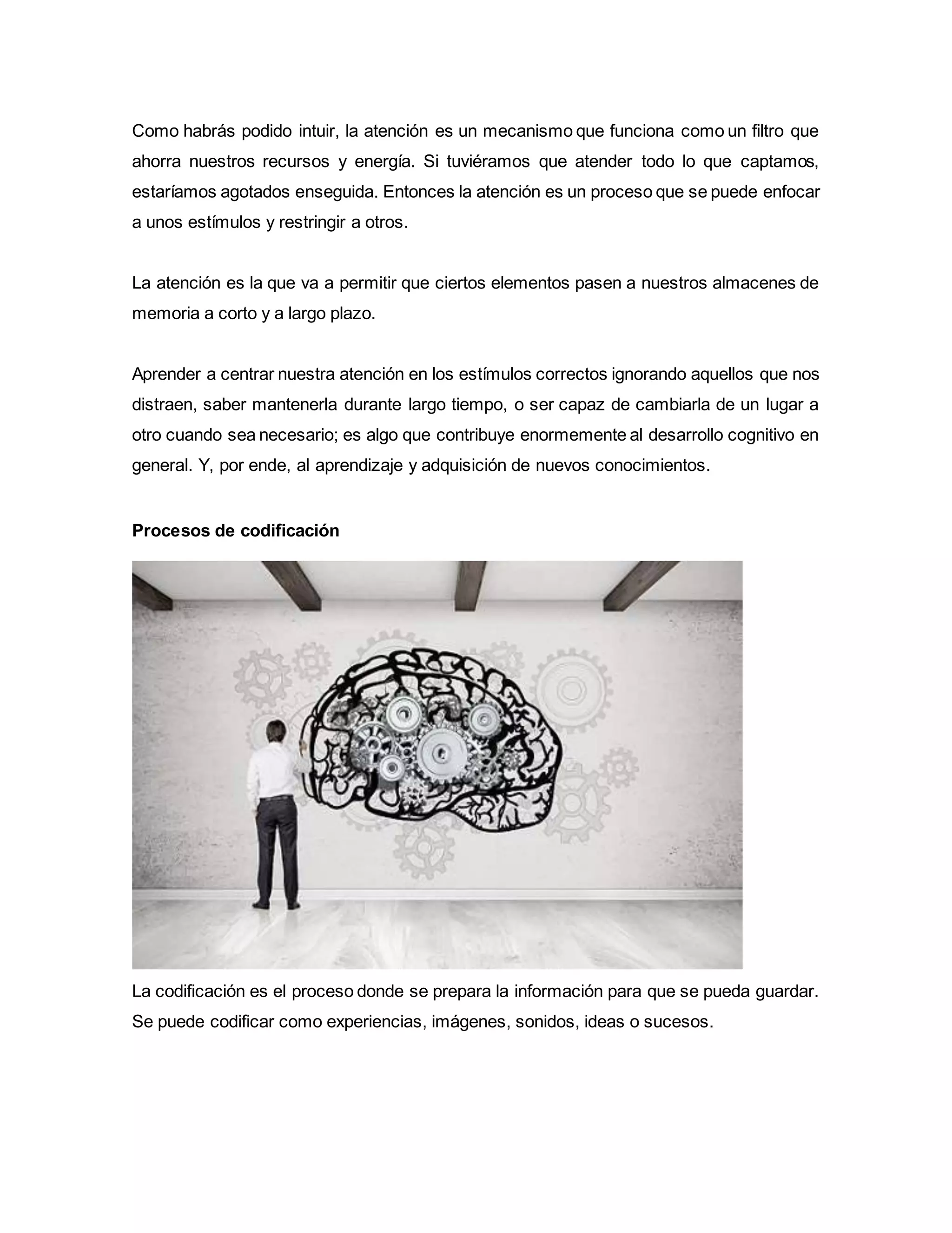 Los 12 procesos cognitivos básicos en humanos | PDF