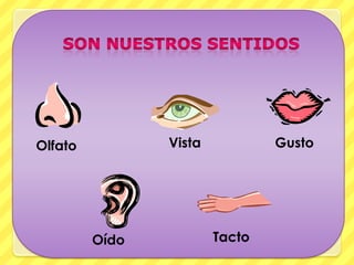 Los 5 sentidos | PPTX
