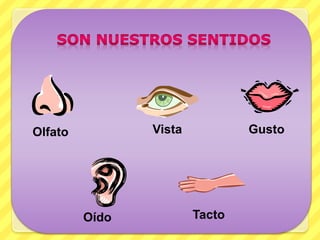 LOS 5 SENTIDOS.pptx