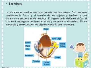 Los 5 sentidos | PPTX