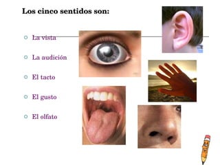 Los 5 Sentidos Web | PPT