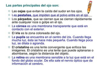 Los 5 Sentidos Web | PPT