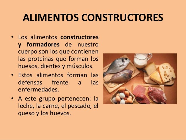 Los alimentos constructores imagenes - Imagui