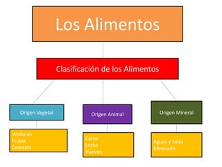 Los alimentos | PPTX