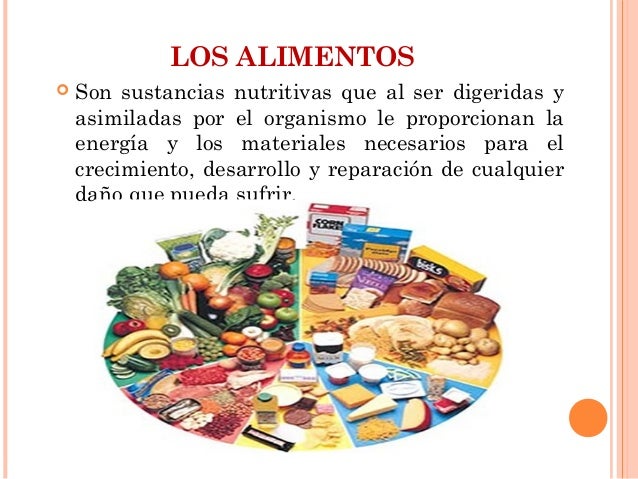 Los alimentos