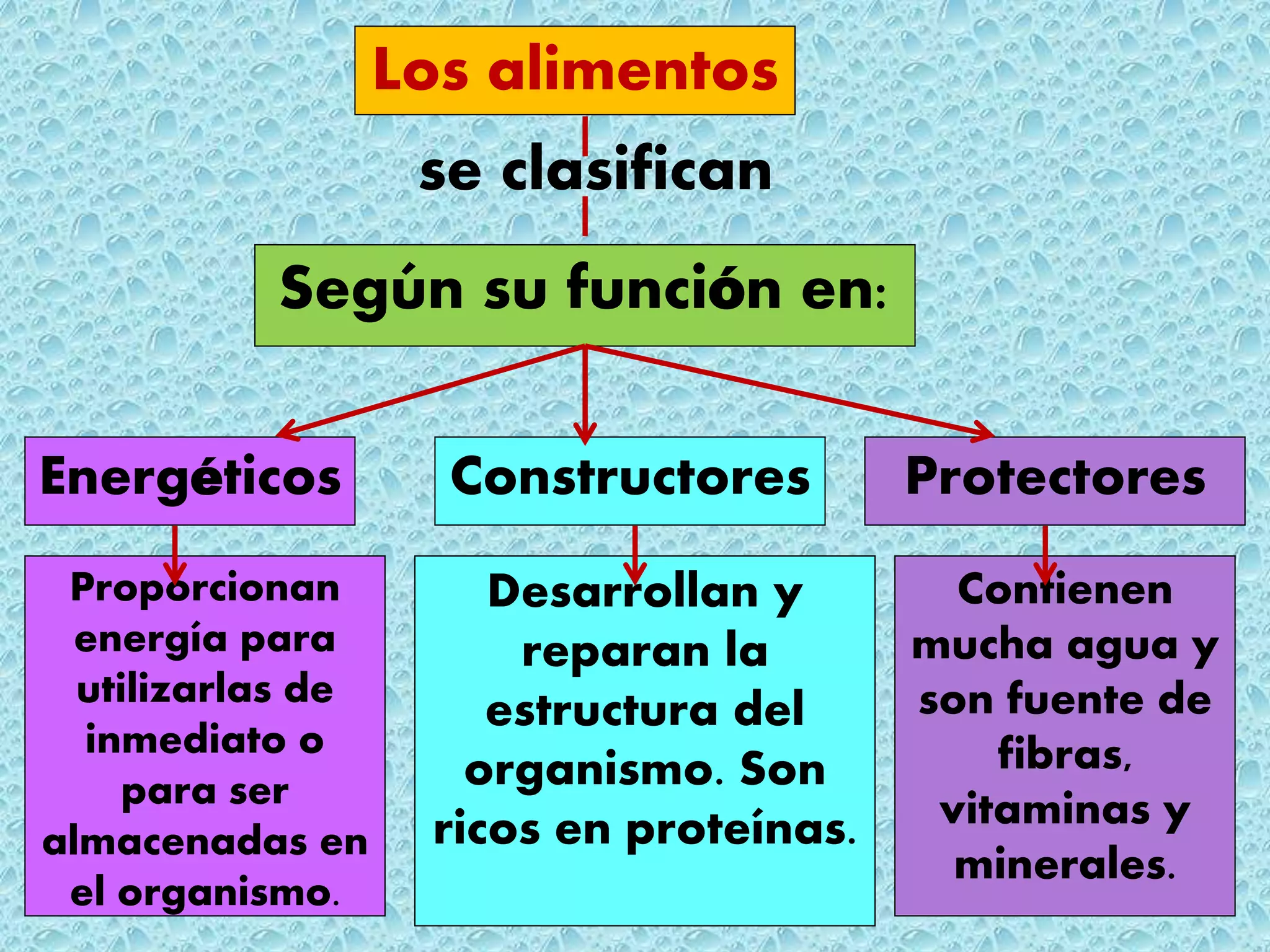 Los alimentos segun su funcion | PPTX | Nutrition | Healthy Living