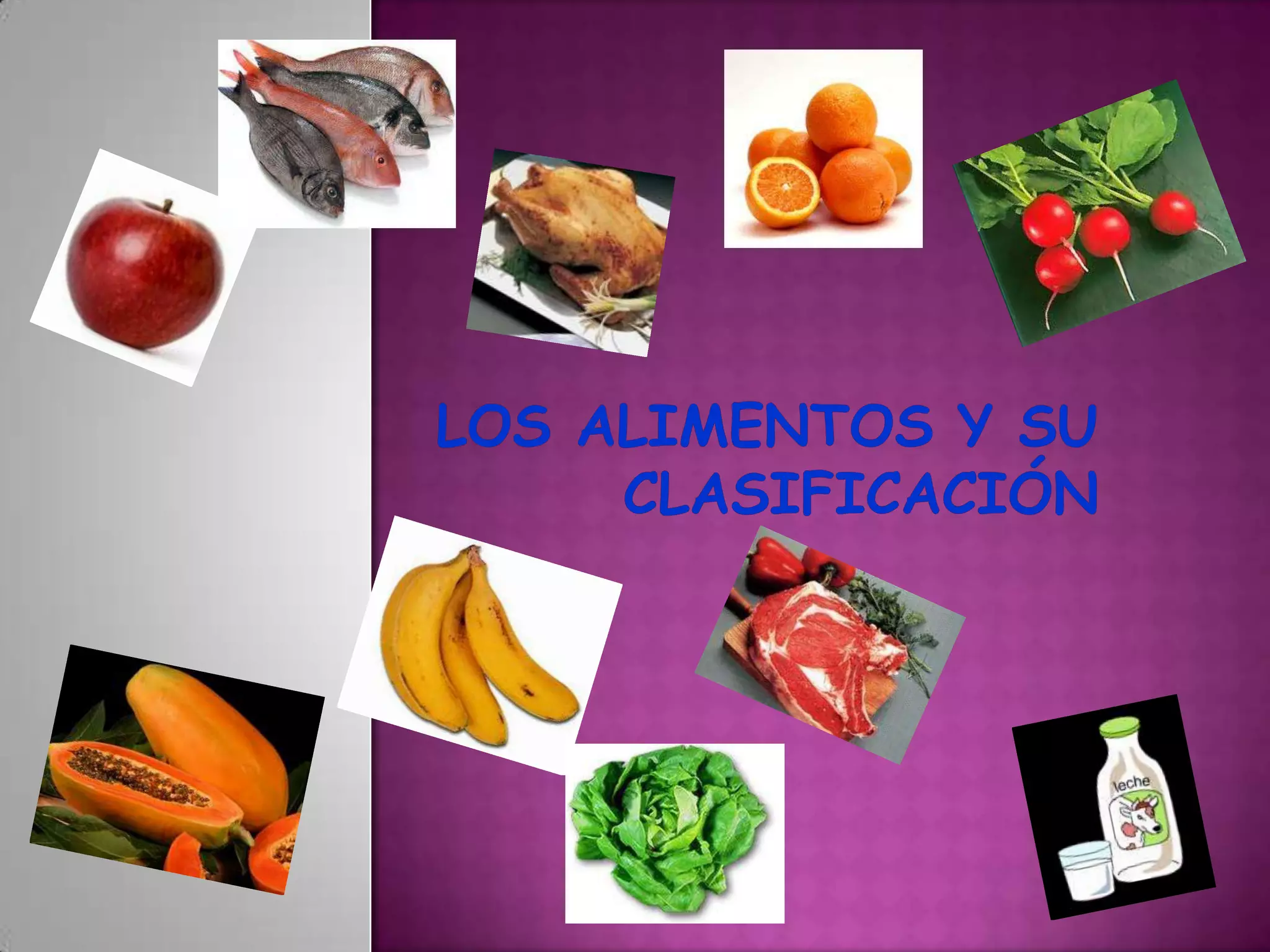 Los alimentos y su clasificación | PPTX