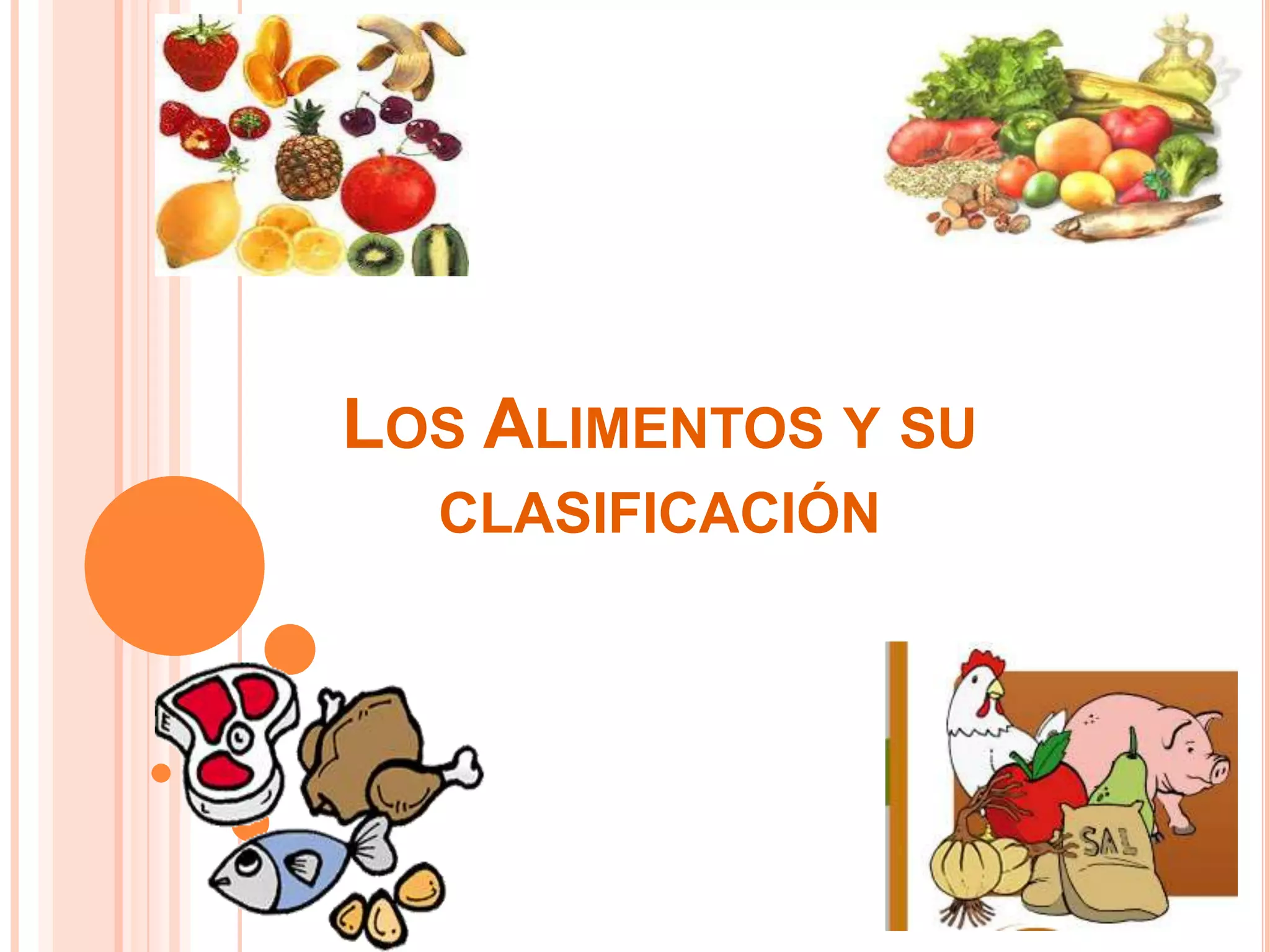 Los alimentos y su clasificación | PPTX