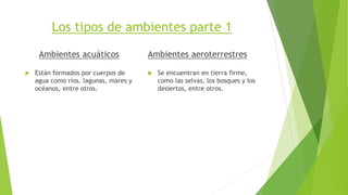 Los ambientes Alarcon | PPTX