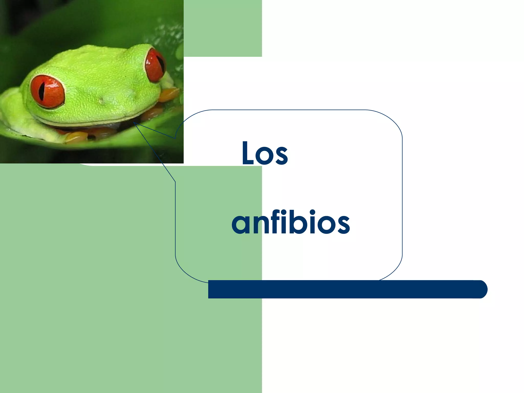 Los anfibios | PPT