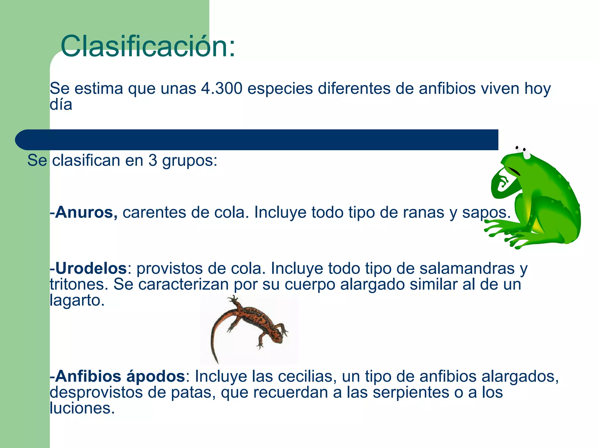 Los anfibios | PPT