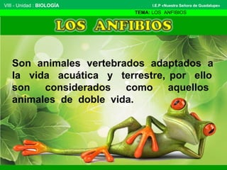 Los anfibios | PPT
