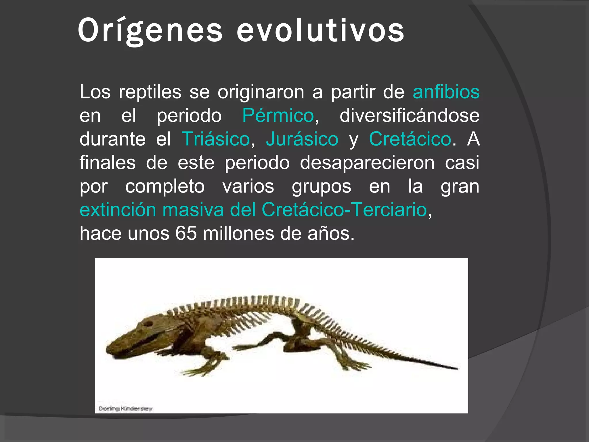 Los anfibios y reptiles | PPT