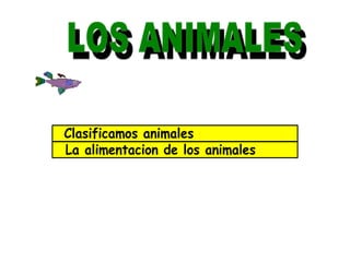Los Animales | PPTX