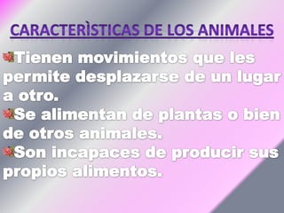 Los animales | PPTX