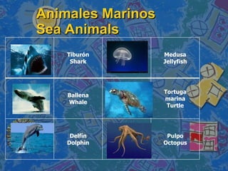 Los animales | PPS