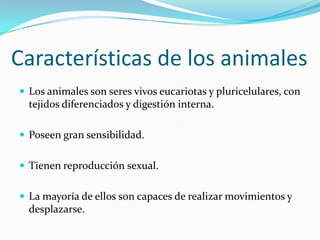 Los animales. | PPTX