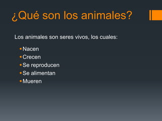 Los Animales - Clasificación y Características Básicas | PPTX