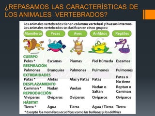 Los Animales - Clasificación y Características Básicas | PPTX