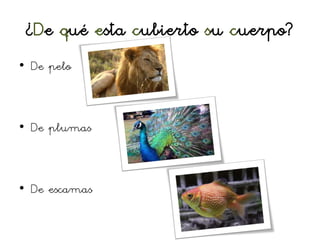 Los animales | PDF