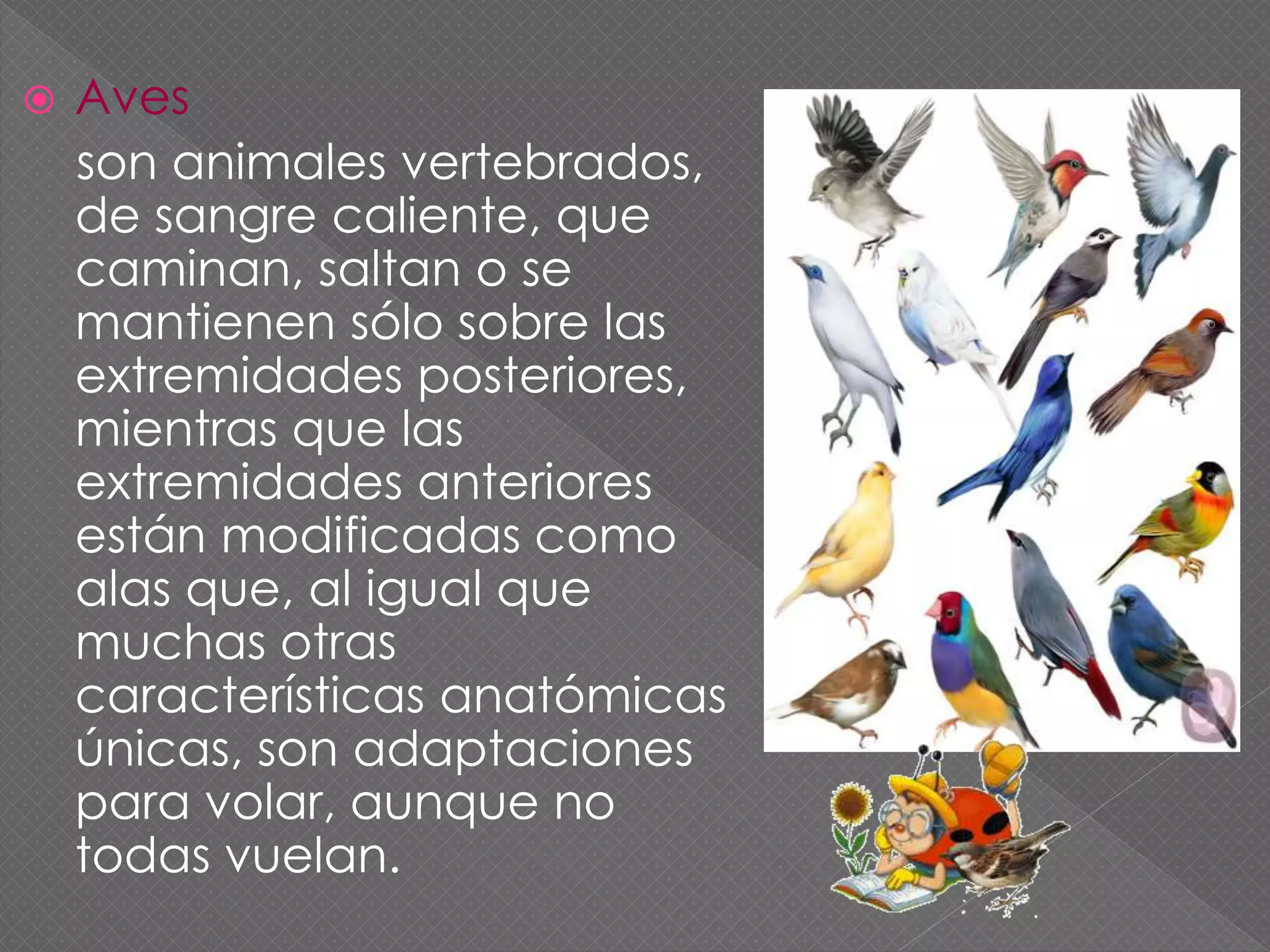 Los animales y su clasificacion | PPT