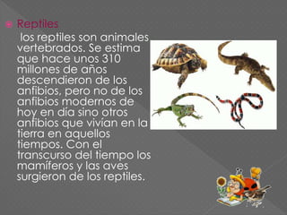 Los animales y su clasificacion | PPTX