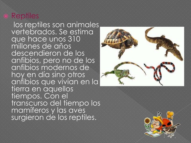 Los animales y su clasificacion | PPT
