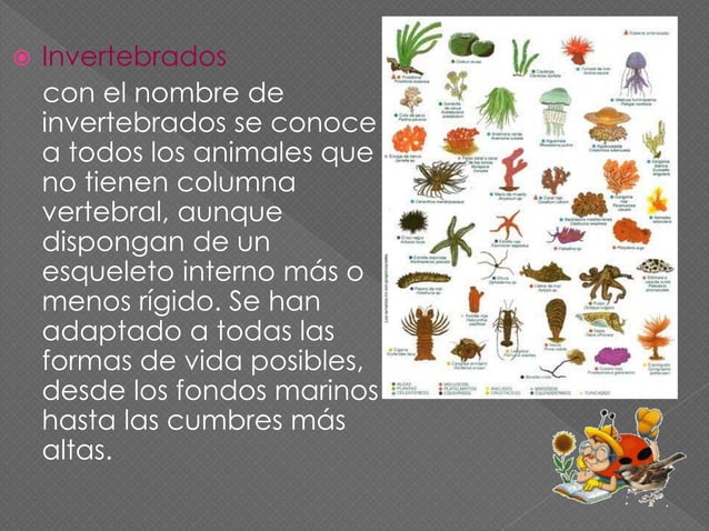 Los animales y su clasificacion | PPT