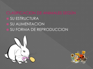 Los animales y su clasificacion | PPT