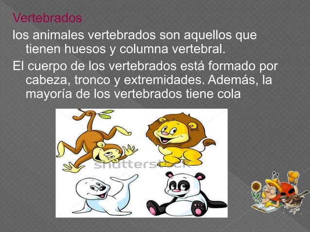 Los animales y su clasificacion | PPT