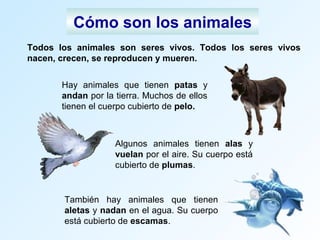 Los animales | PPT