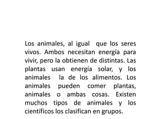 Los animales | PPTX