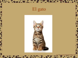 Los animales | PPT