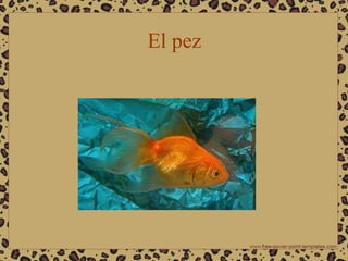 Los animales | PPT