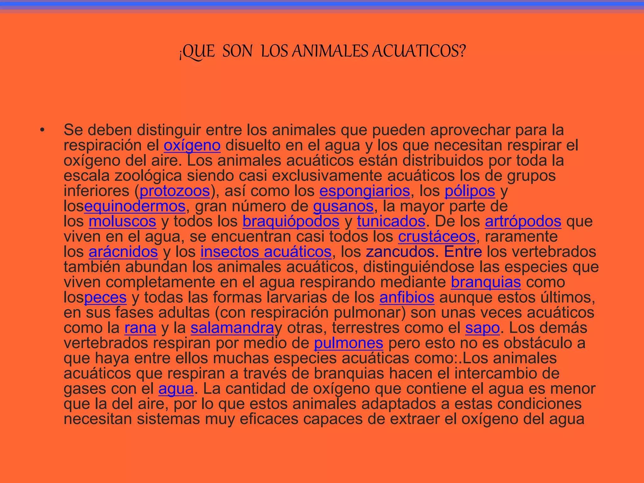 Los animales acuáticos | PPT