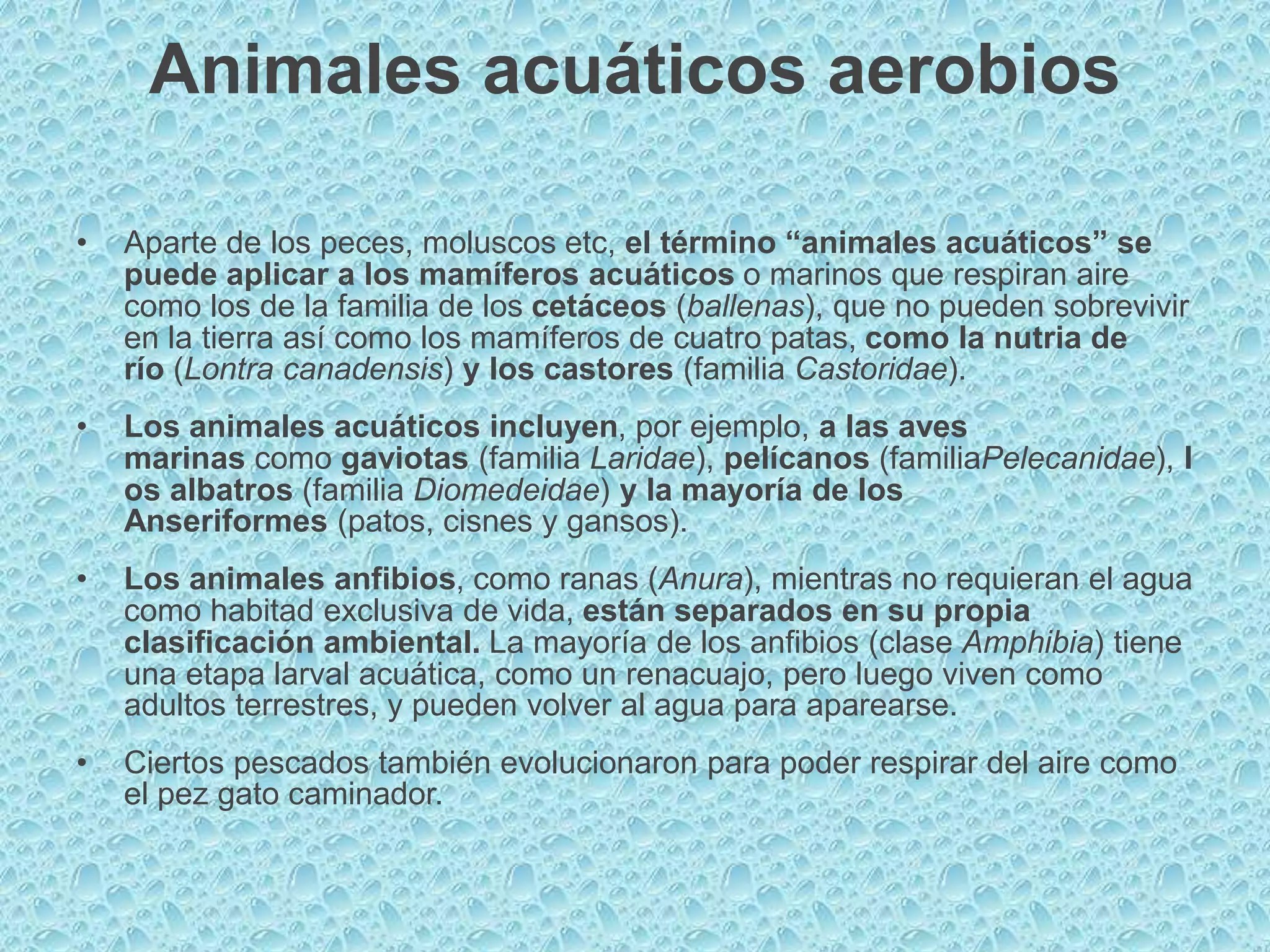 Los animales acuáticos | PPT