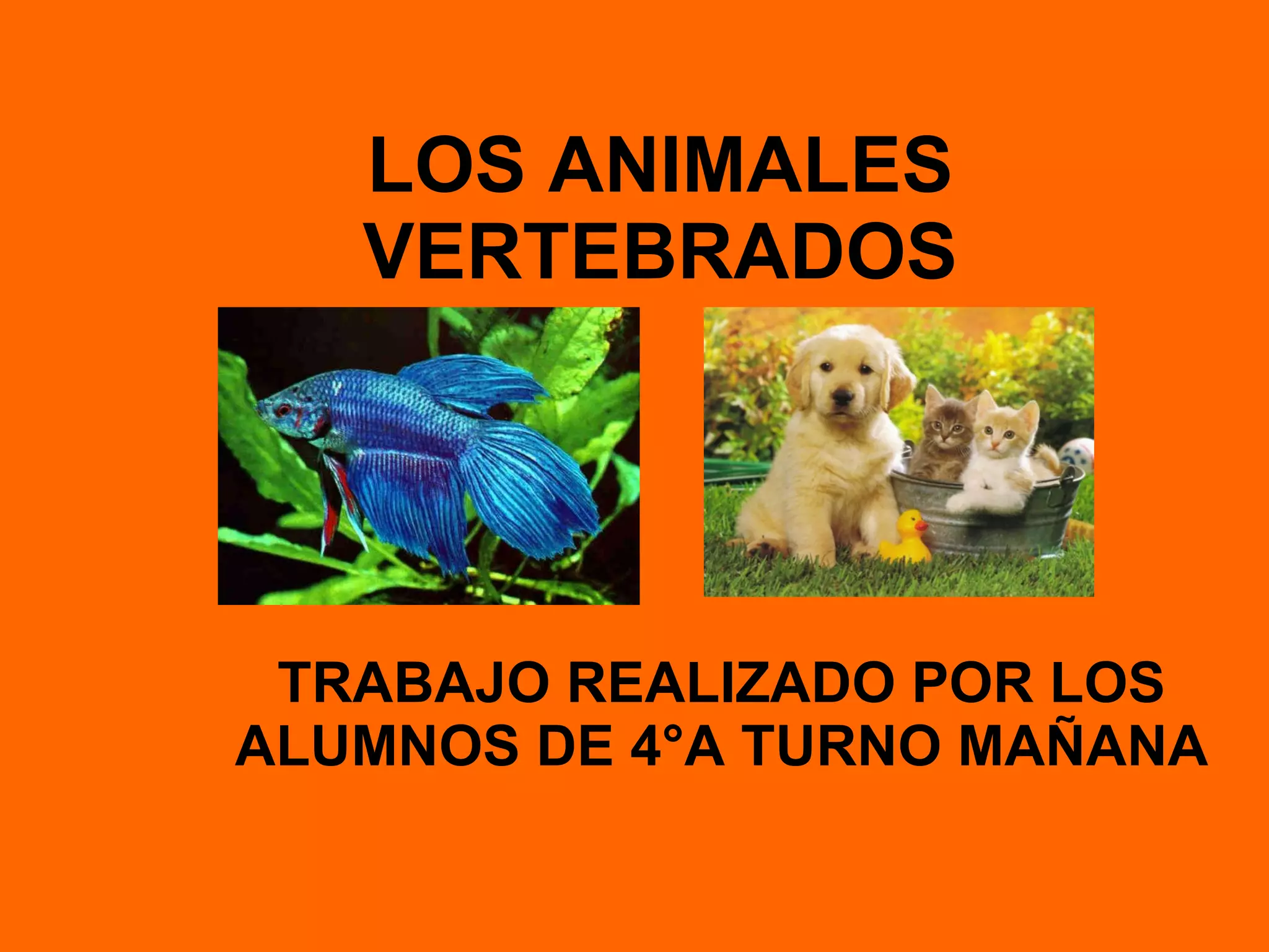 LOS ANIMALES VERTEBRADOS | PPT