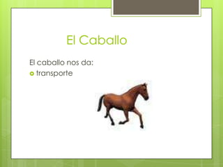 Los animales de la granja | PPTX