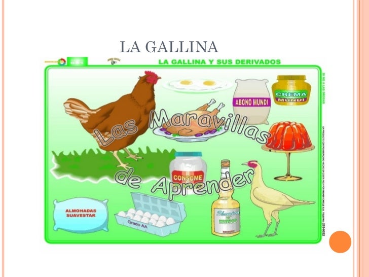 Los Animales De La Granja Y Sus Utilidades