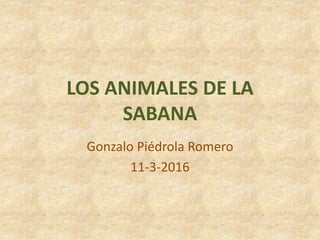 Los animales de la sabana | PPT