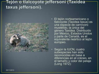 Los animales de méxico en peligro de extinción. | PPTX